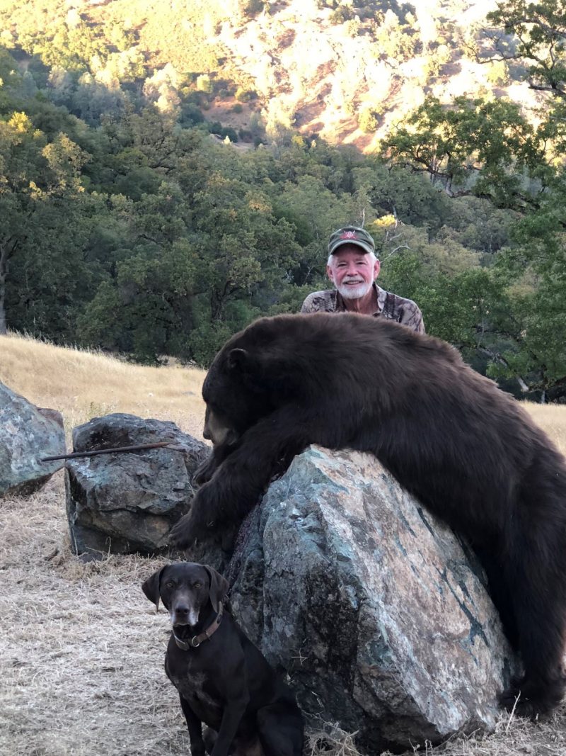 How to Become a Bear Hunter: Tips for Beginners & Pros - Central Coast ...