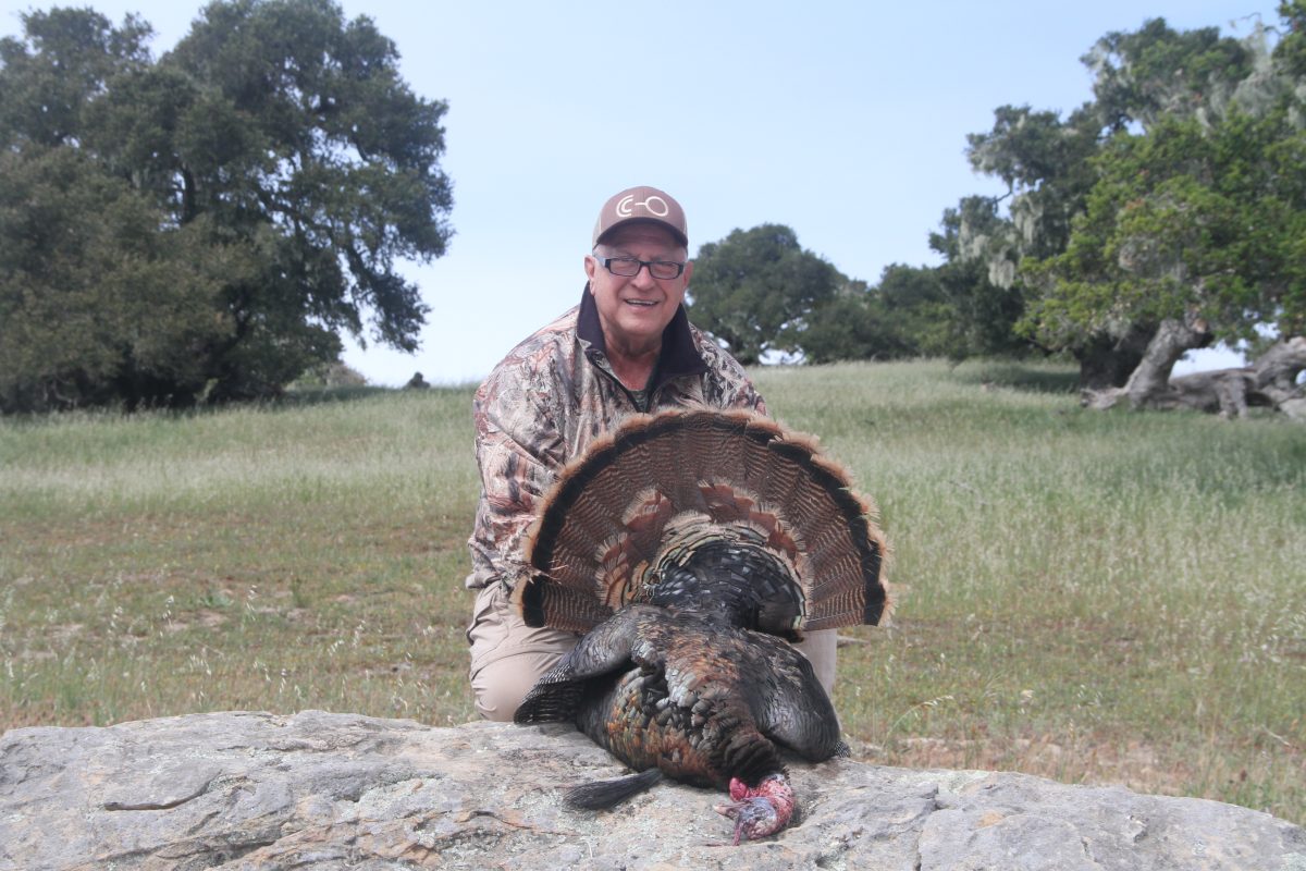 Turkey Hunting Guide California - Central Coast Outfitters
