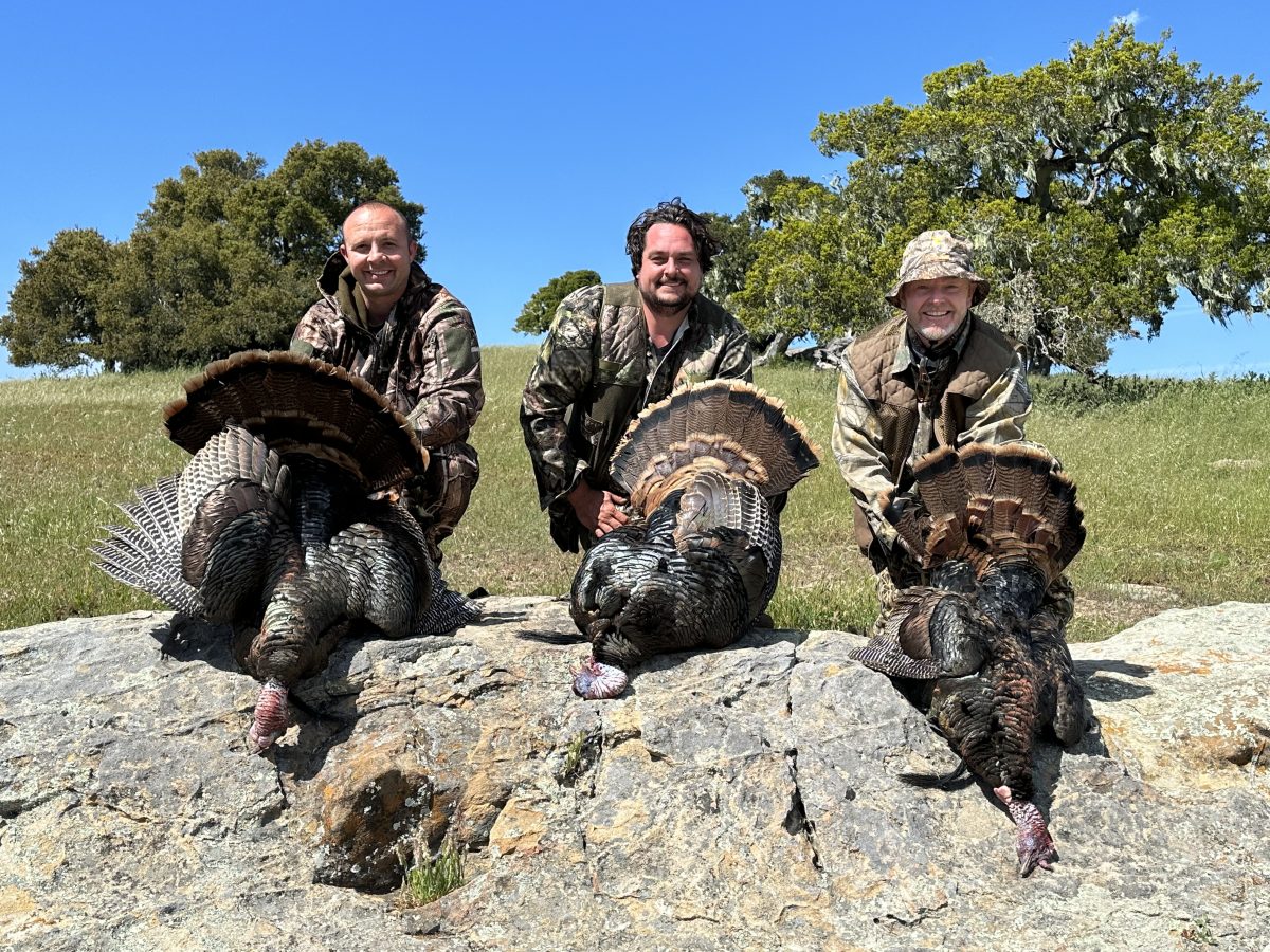 2025 California Spring Turkey Season Guide - Central Coast Outfitters